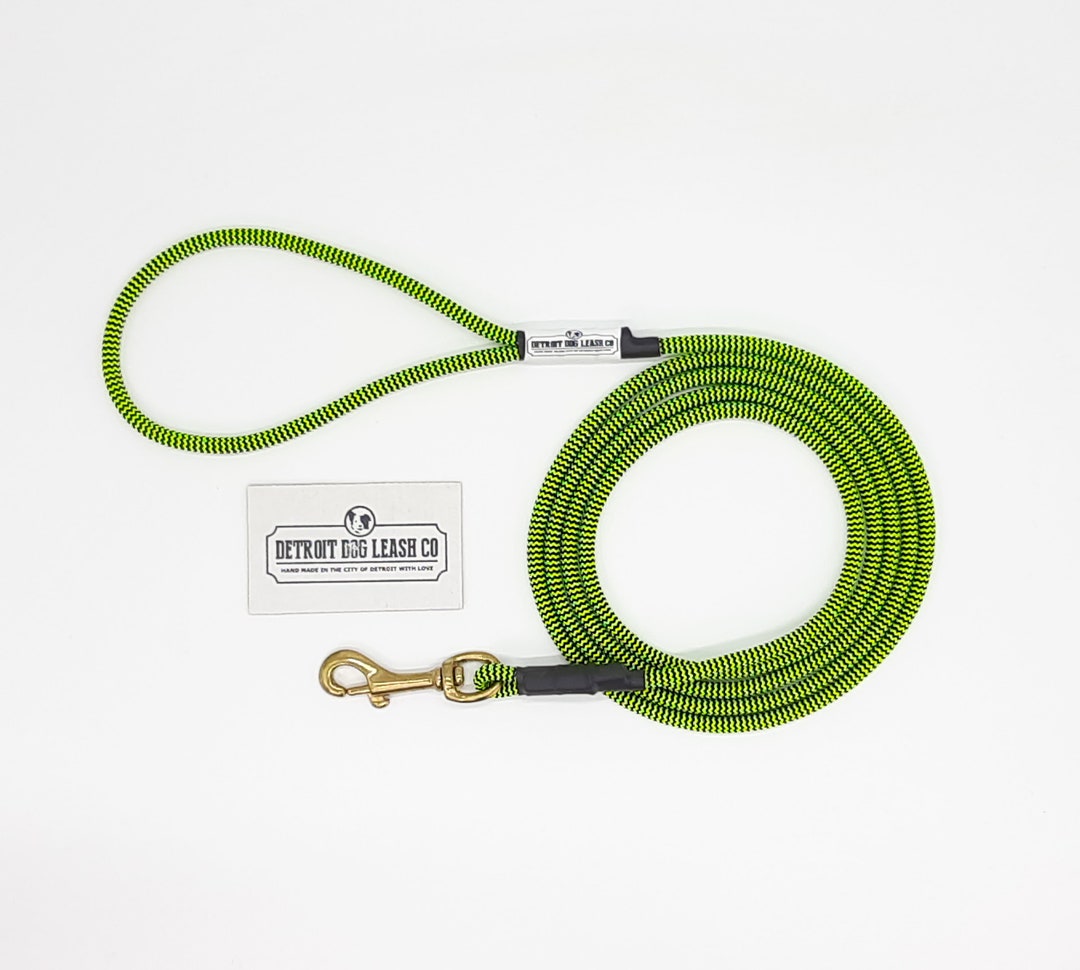 Bumblebee Paracord Dog Leash (small Dog) - Etsy