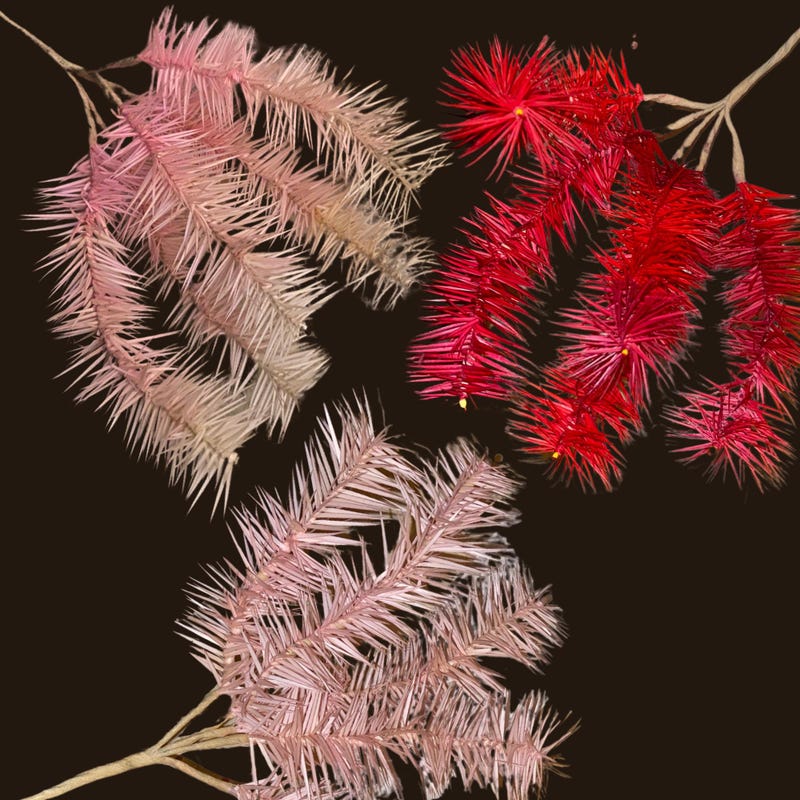 Feather Spray - Etsy