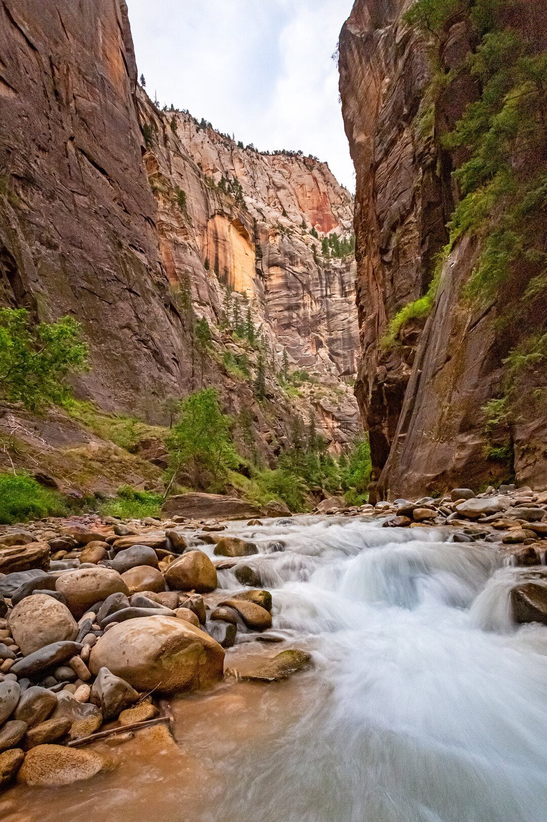Zion National Park Photos - Digital Download Print - Etsy