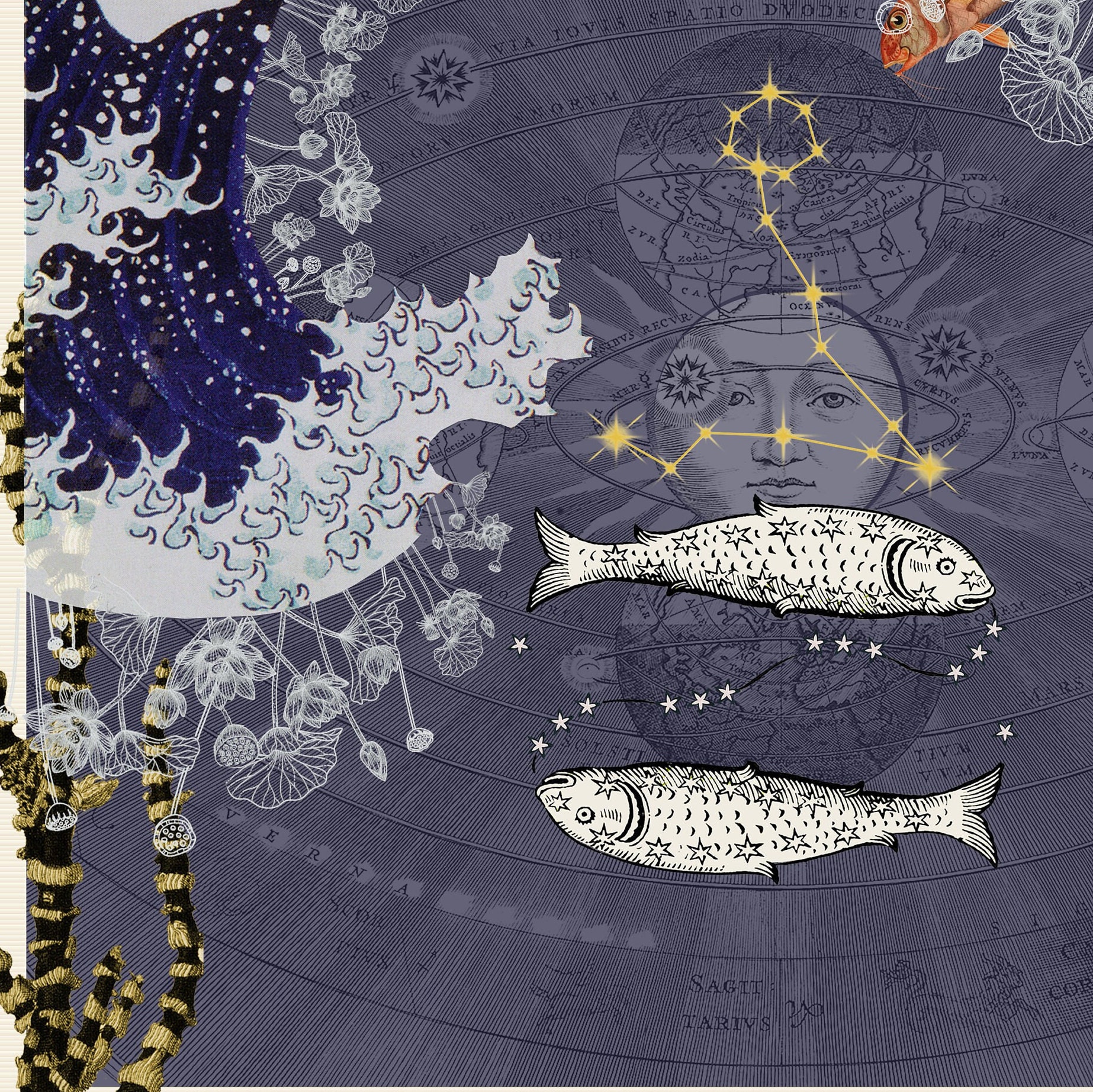 Dreamlike Illustration of the Zodiac, Sign of the Fish, Art Print. - Etsy