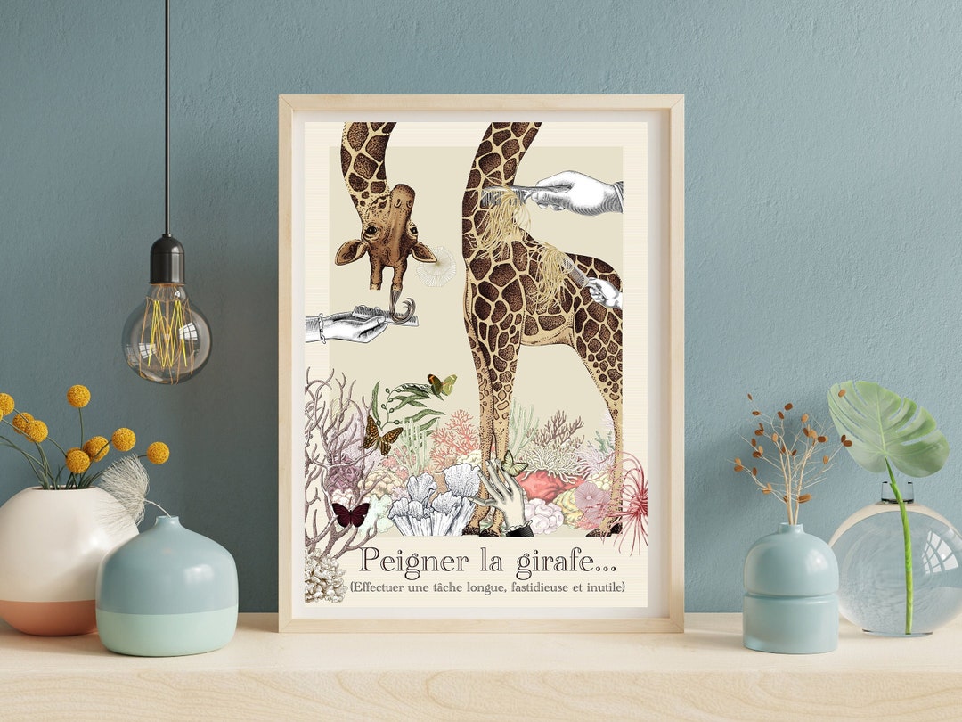 Illustration "peigner la girafe", imagerie vintage botanique, cabinet ...