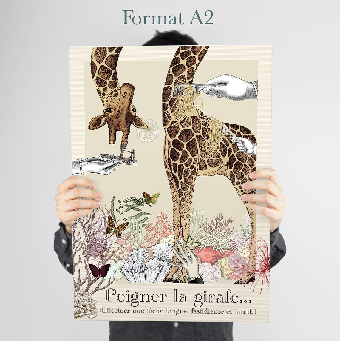 Illustration "peigner la girafe", imagerie vintage botanique, cabinet ...
