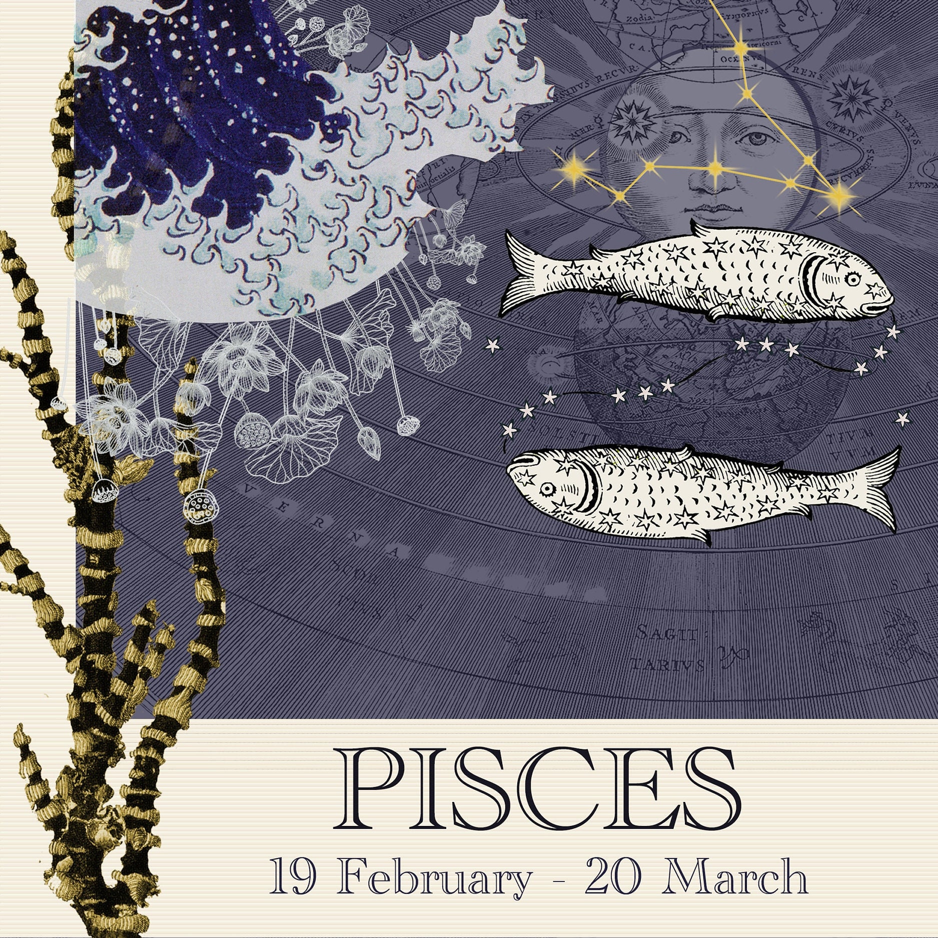 Dreamlike Illustration of the Zodiac, Sign of the Fish, Art Print. - Etsy