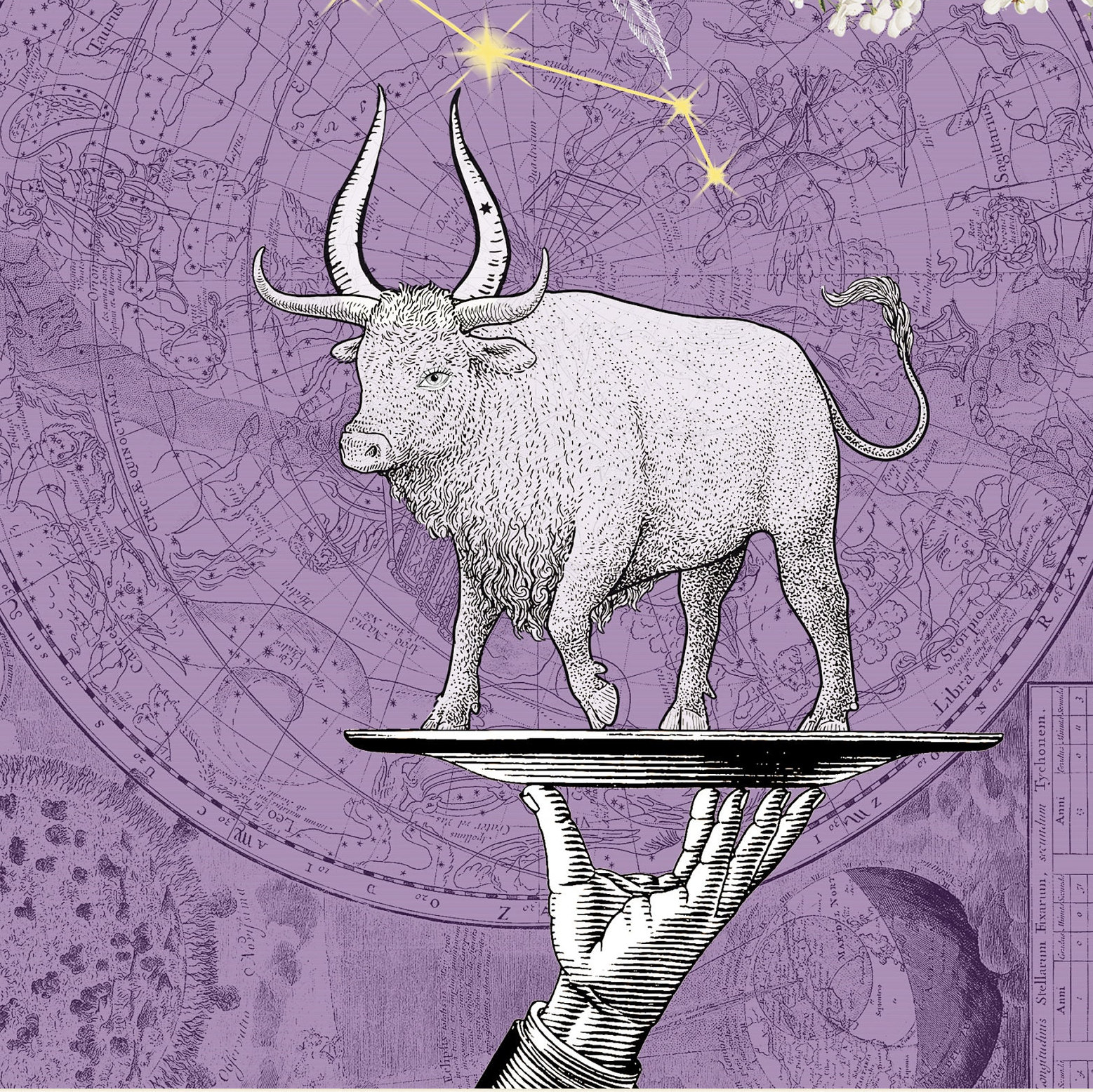 Signe astro taureau, art astrologique, empreinte de taurus du zodiaque ...