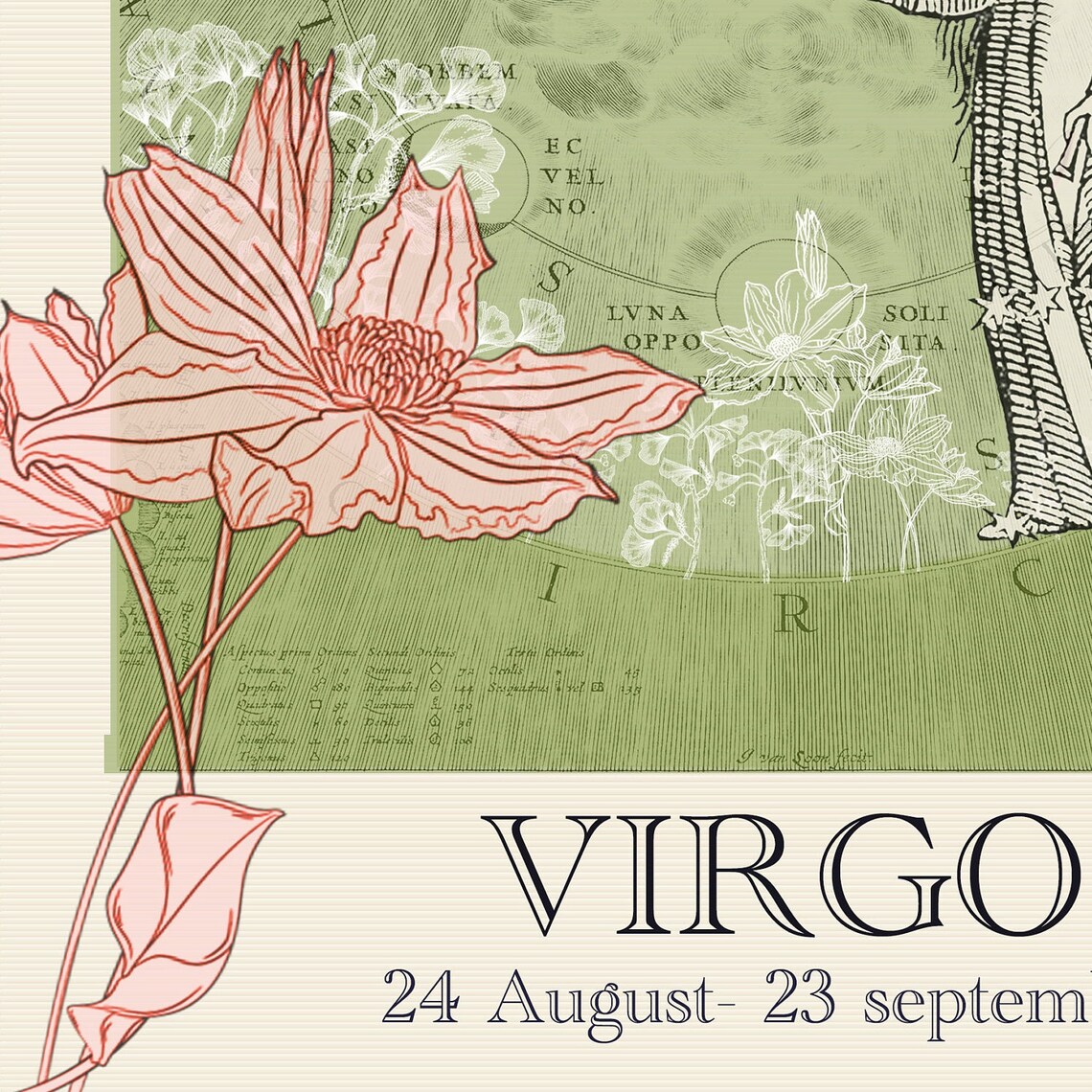 Virgo Astro Sign Astrological Art Virgo Zodiac Print Star - Etsy