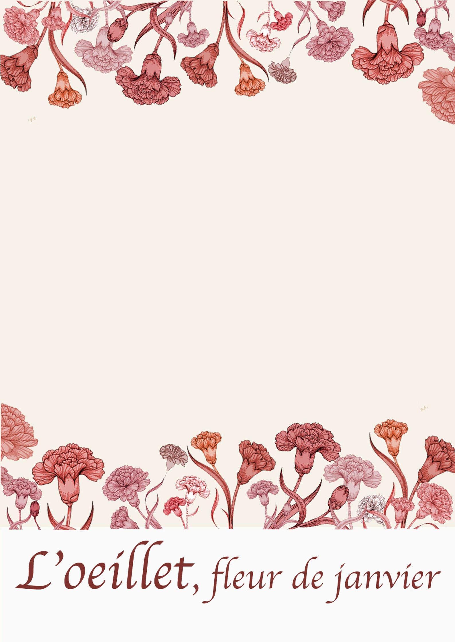 Scratch Card With January Flower Design : the Carnation Good - Etsy