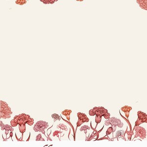 Scratch Card With January Flower Design : the Carnation, Good For ...