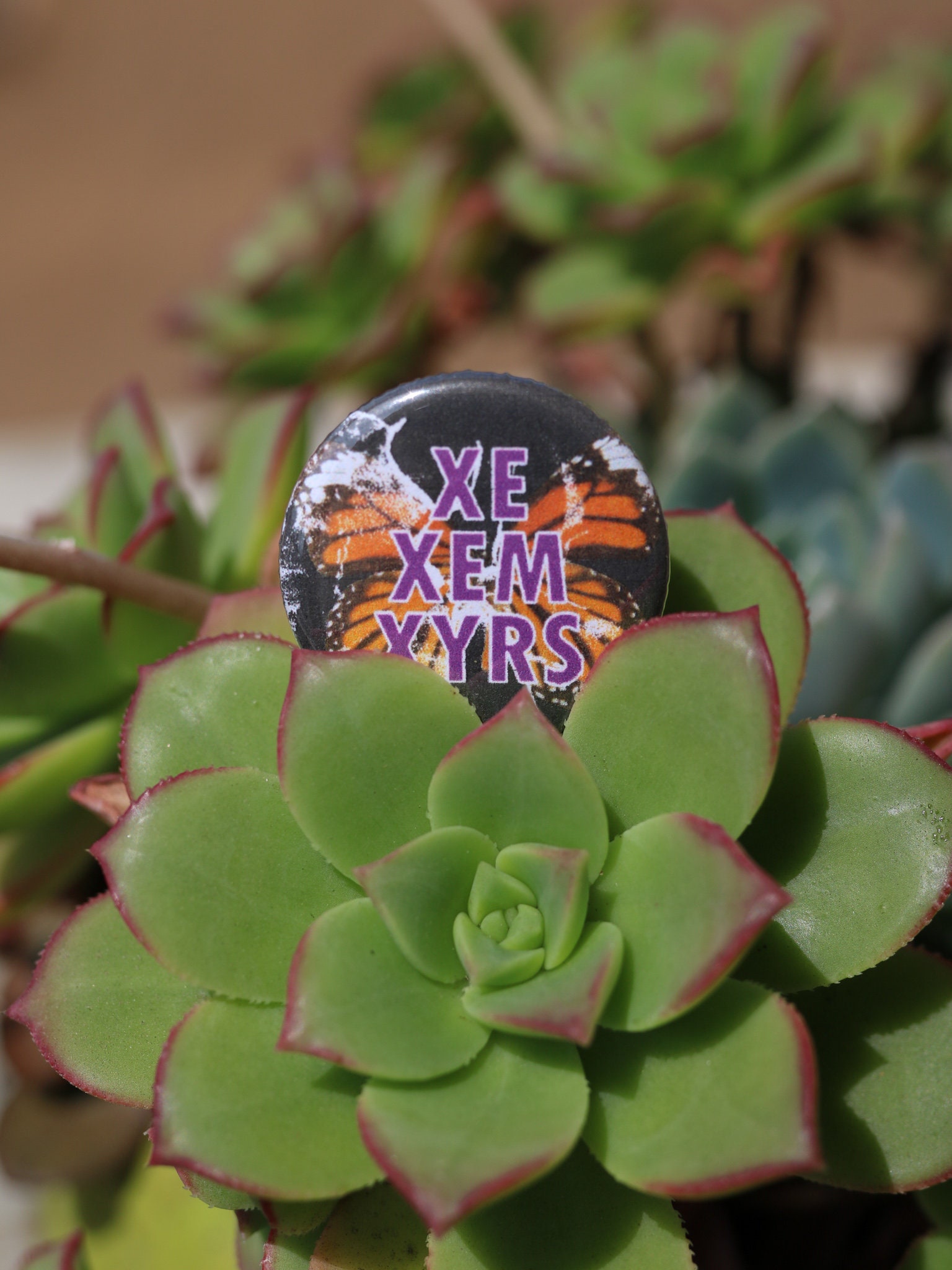 XE XEM XYRS Pronoun Pin 1.25 Pinback Button Limited | Etsy