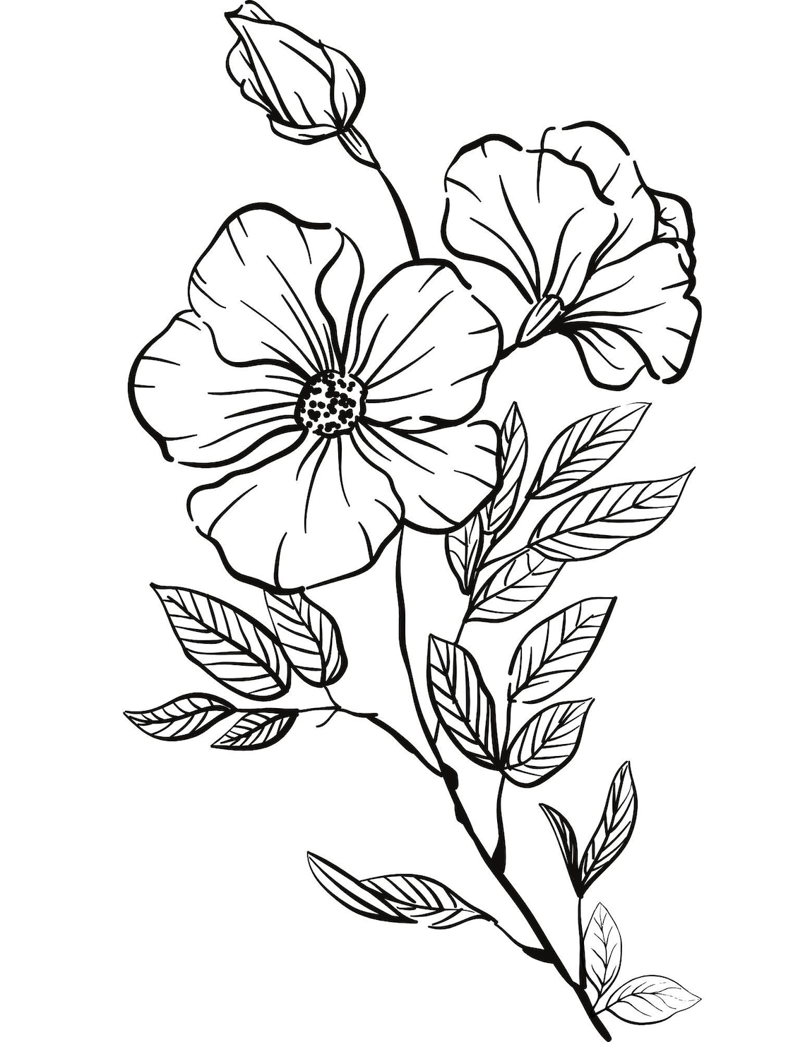 50 Flowers and Bible Verses Coloring Pages - Etsy