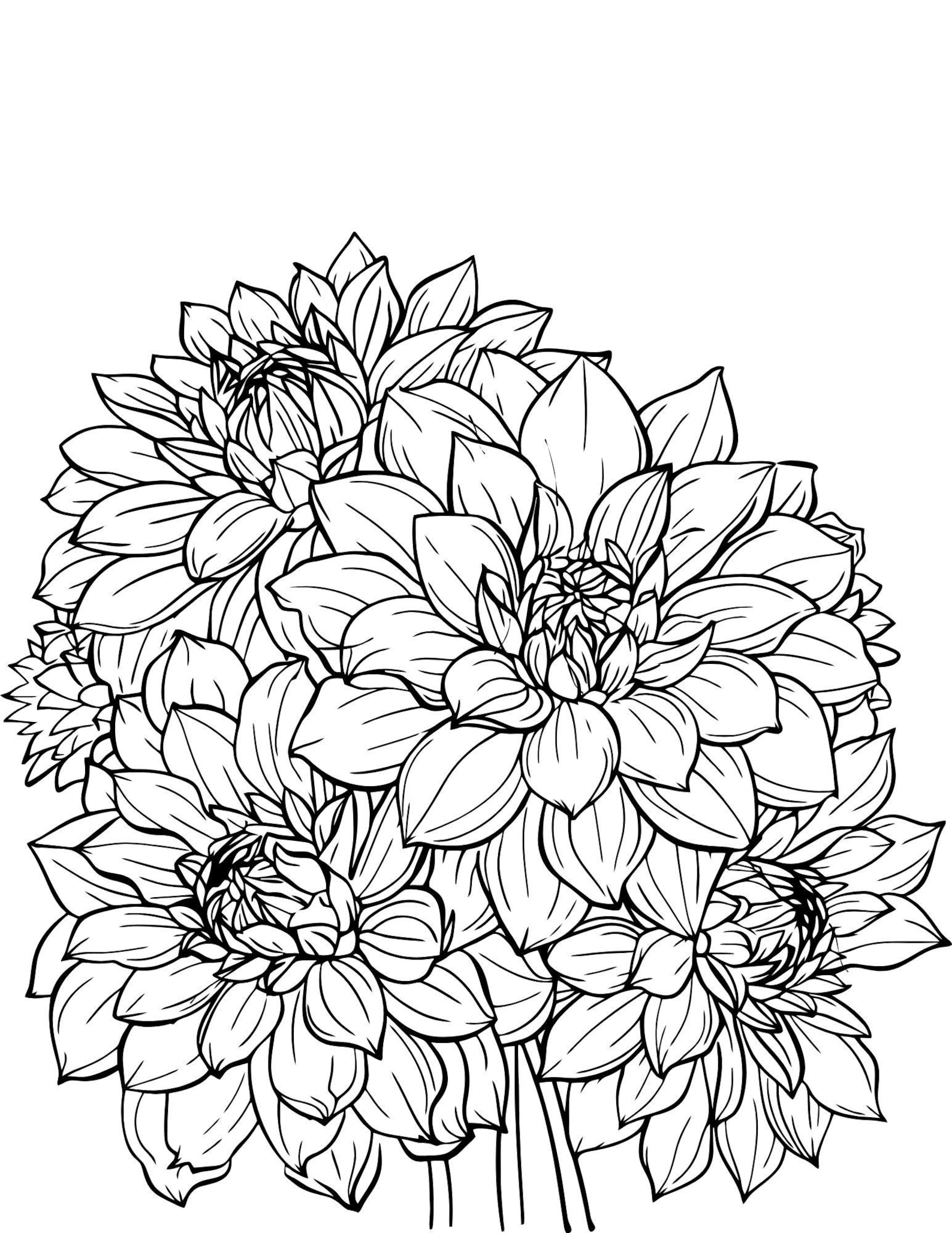 50 Flowers and Bible Verses Coloring Pages - Etsy