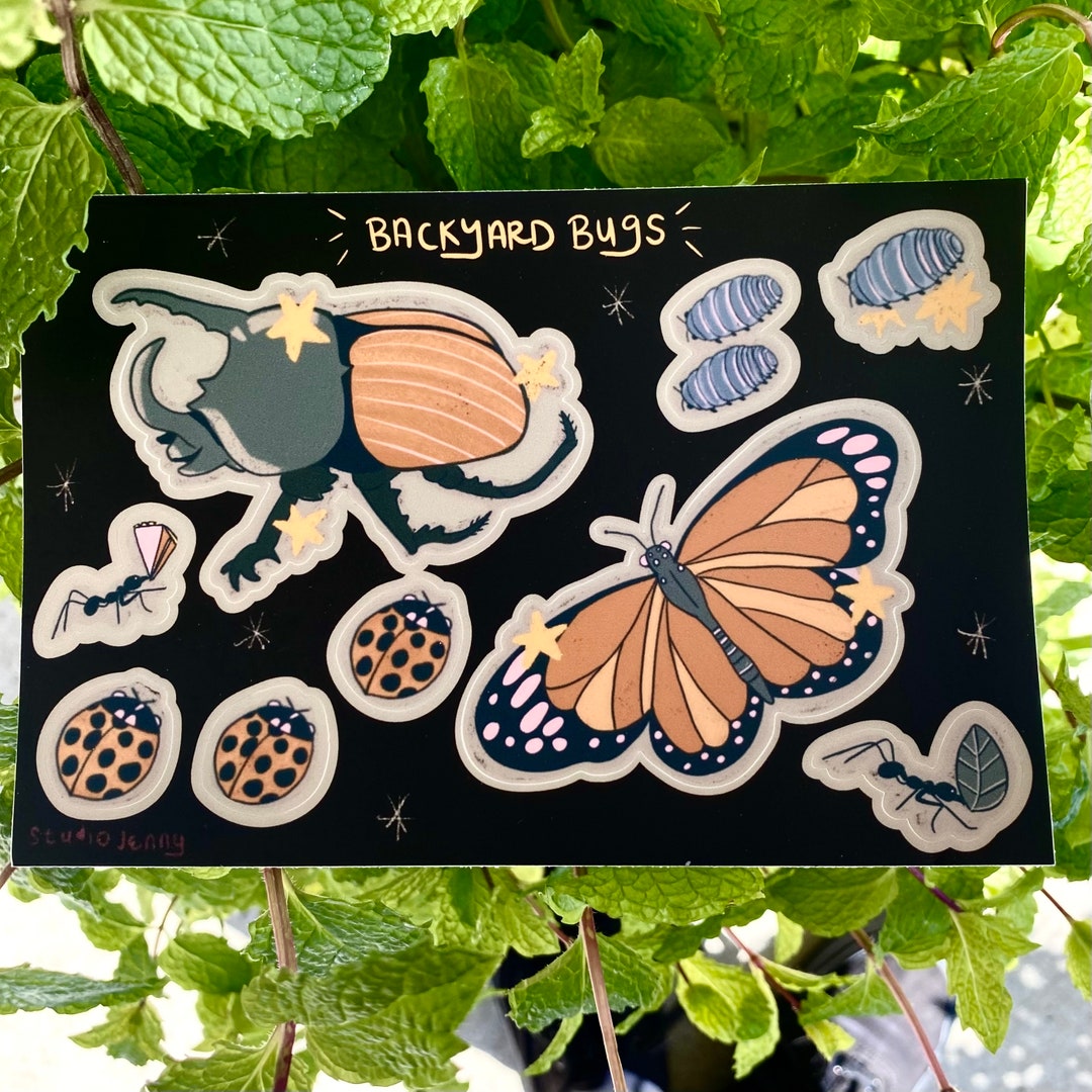 Backyard Bugs || Vinyl Sticker Sheet - Etsy