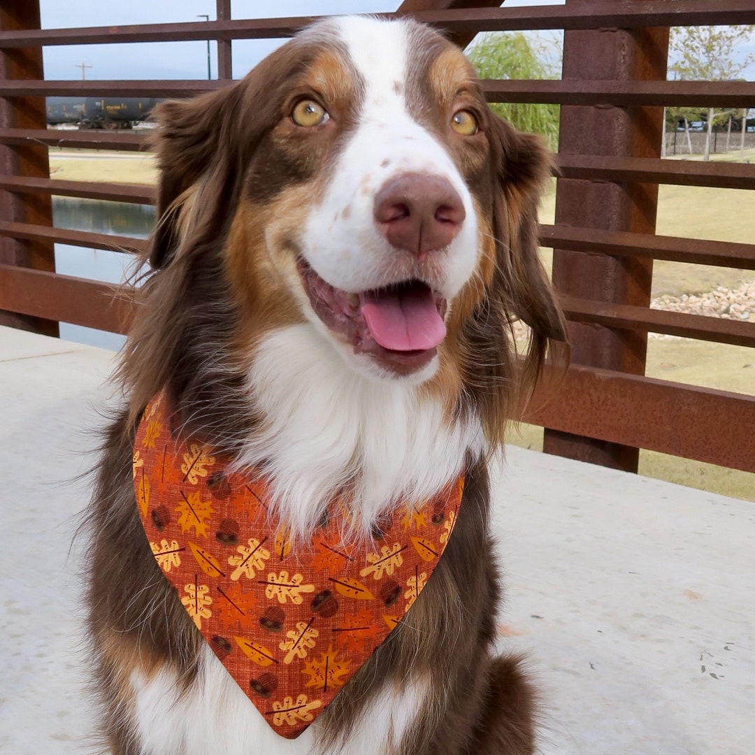 Fall Dog Bandana, Thanksgiving Dog Bandana, Dog Bandana, Over the ...