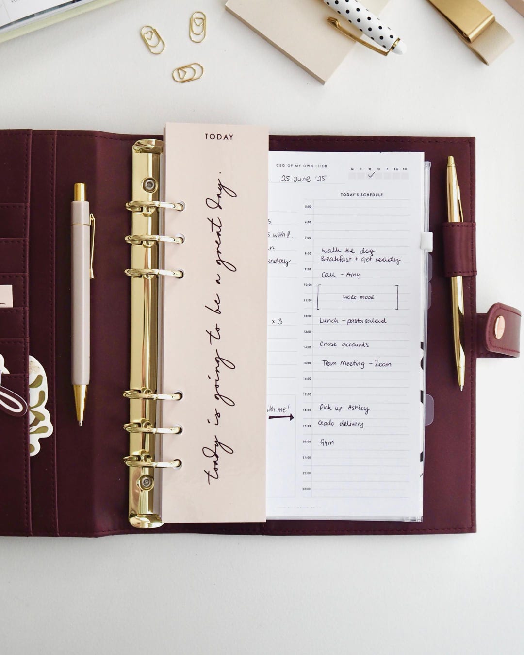 Double Sided Blush 'TODAY' Planner Page Marker, Planner Divider ...