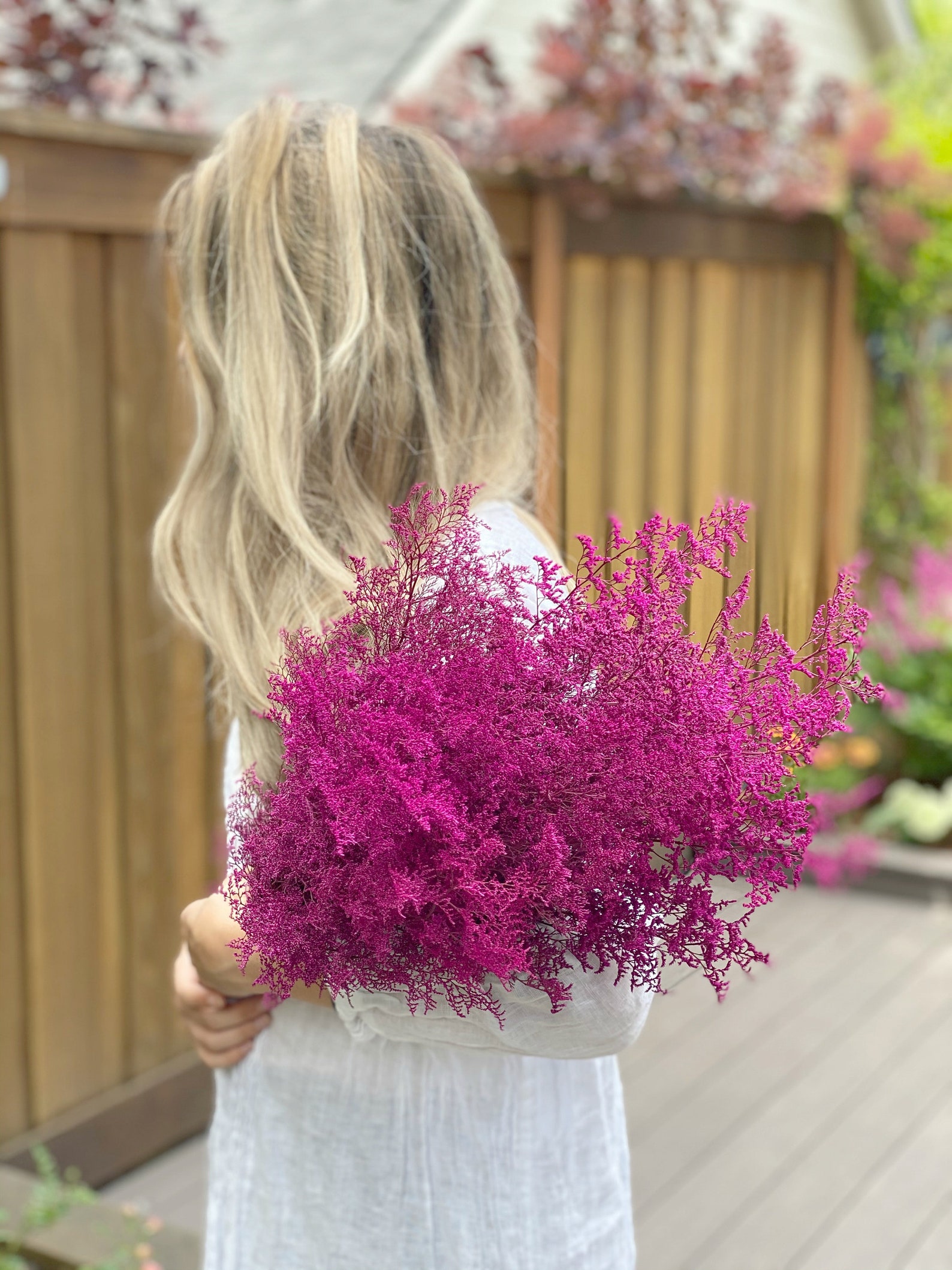 Hot Pink Pink Dried Caspia Dried Flowers Bunch Dried Bunch - Etsy