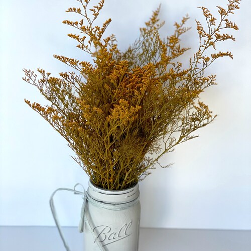 Yellow Preserved Caspia Preserved Caspia Dried Flowers | Etsy