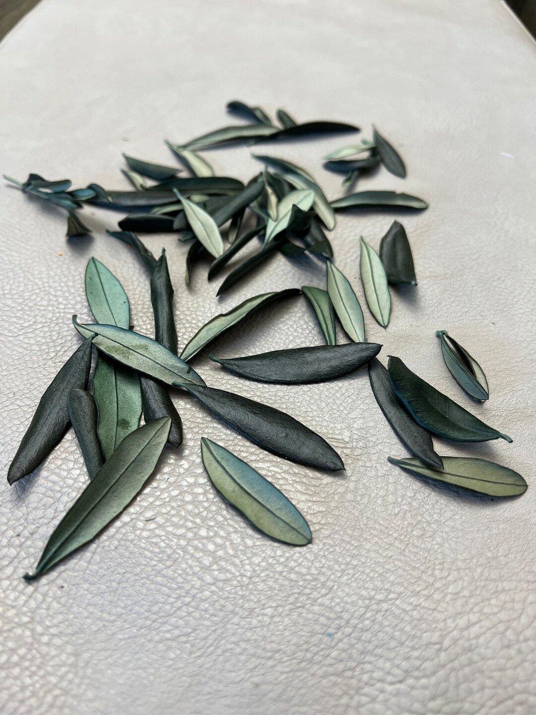 Preserved Olive Leaves-preserved Greenery Leaves-flowers for Craft ...