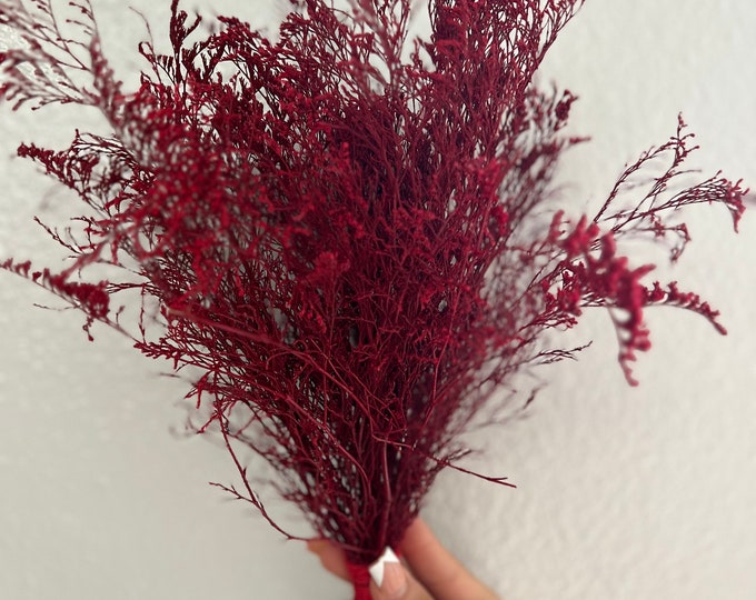 Preserved Caspia Preserved Caspia, Dried Flowers Bunch, Dried Bunch ...