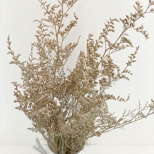 Natural Preserved Caspia, Dried Flowers Bunch, Dried Bunch Table ...