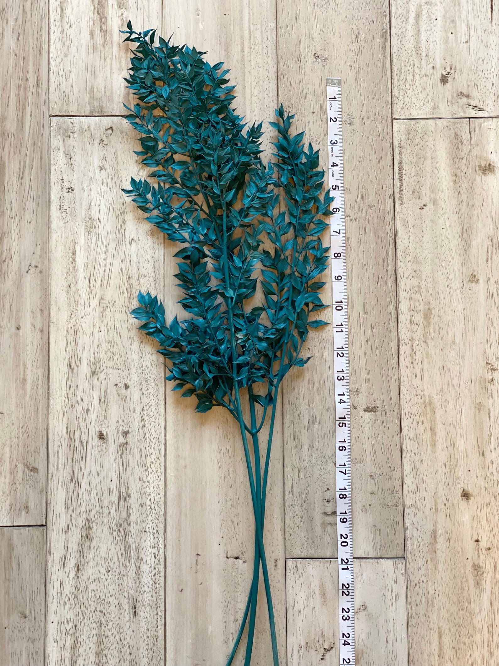 Teal Dried Flowers-teal Ruscus-long Stem Ruscus - Etsy