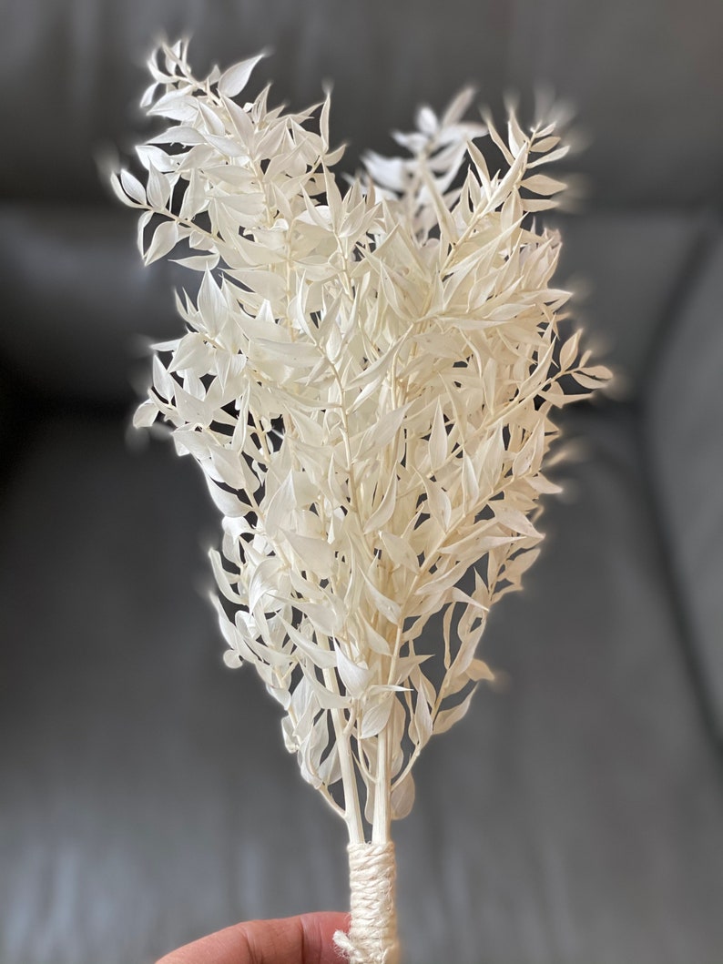 Bleached Ruscus Bouquet-smallwhite Flowers Bouquet | Etsy