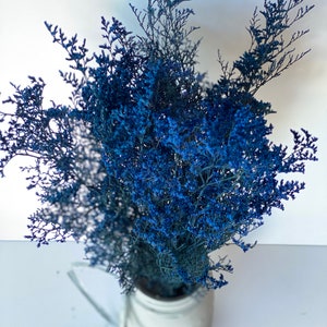 Blue Preserved Caspia; Preserved Caspia, Dried Flowers Bunch, Dried ...