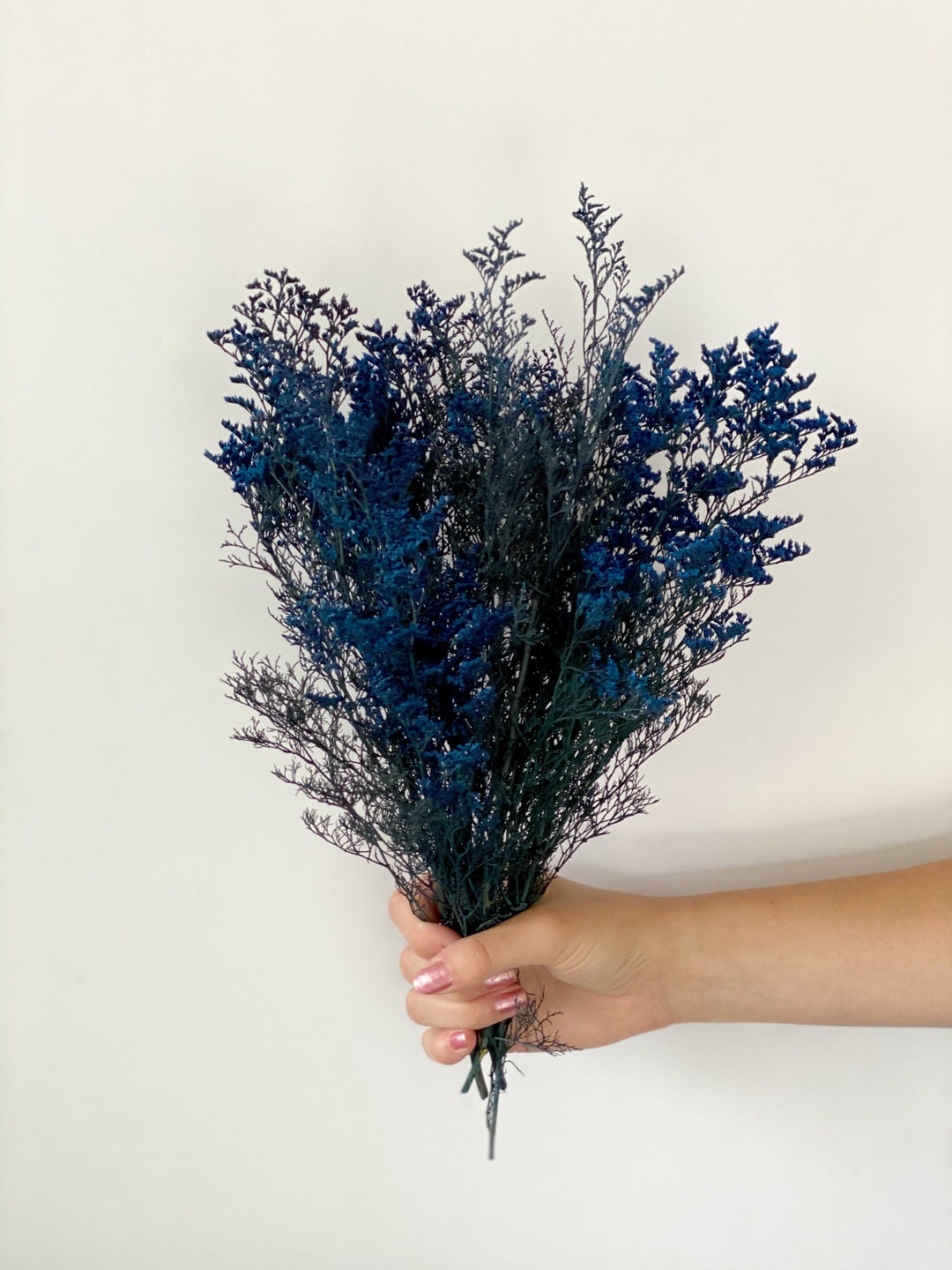 Blue Preserved Caspia; Preserved Caspia, Dried Flowers Bunch, Dried ...