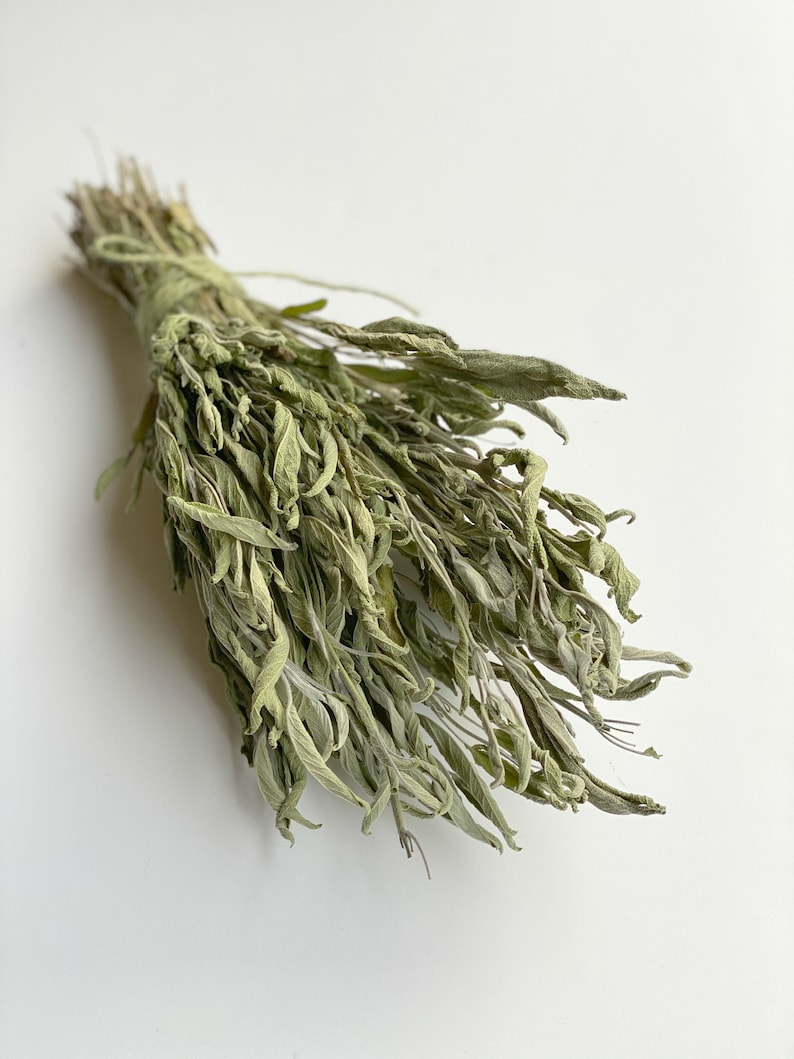 Air Dried Sage Bunch-Sage dried herbs-Fragrant dried sage | Etsy