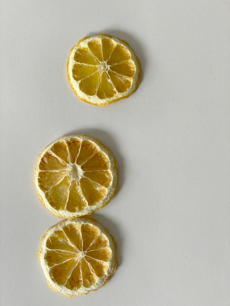 Dried/Dehydrated Lemon Slices/Half slices of dried lemon | Etsy
