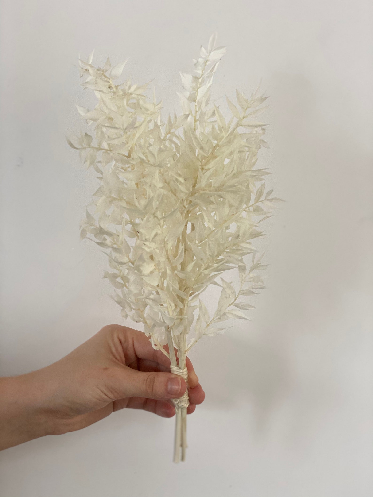 Bleached Ruscus Bouquet-smallwhite Flowers Bouquet | Etsy