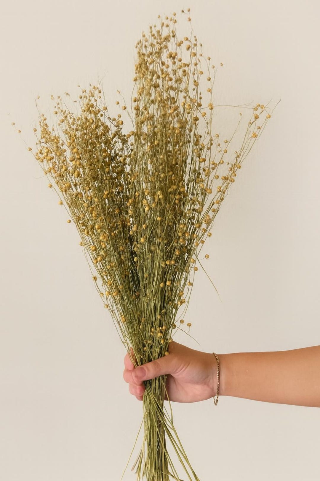 Dried Flax Bundle: Rustic Home Decor, Wedding Bouquet Supply (18-22 ...