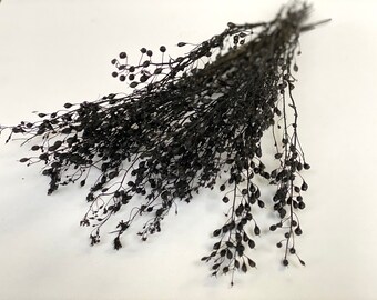 Black Dried Flowers - Etsy