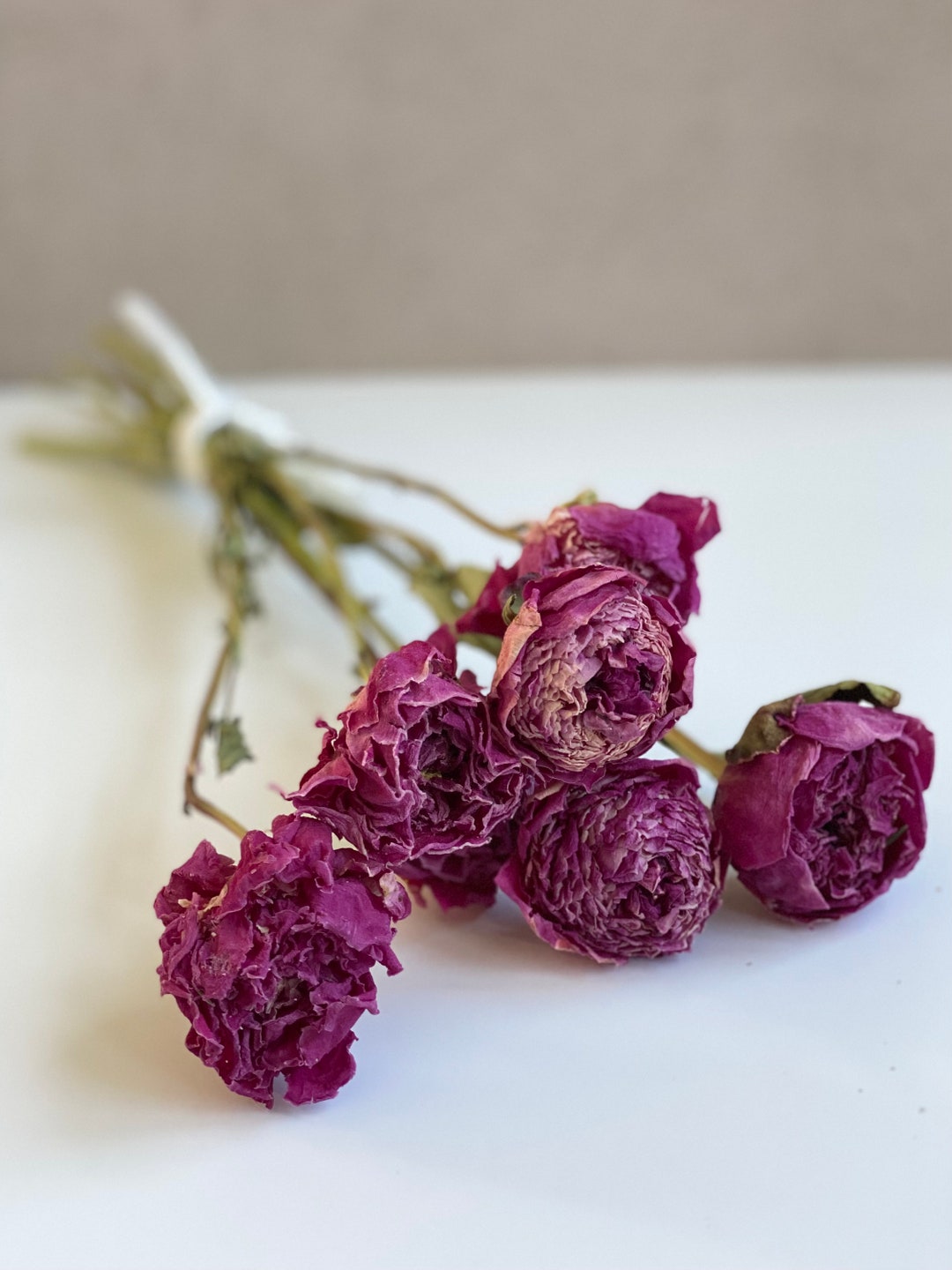 Dried Pink Peony-dried Peonies Flowers-dried Flowers - Etsy