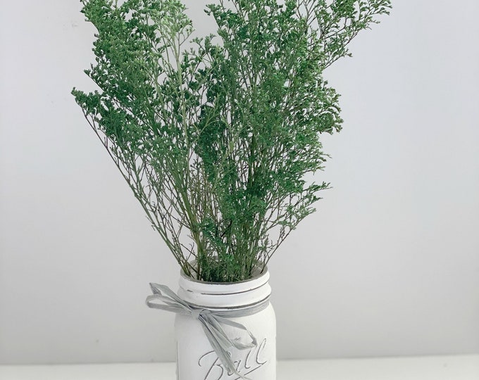 Preserved Caspia Preserved Caspia, Dried Flowers Bunch, Dried Bunch ...