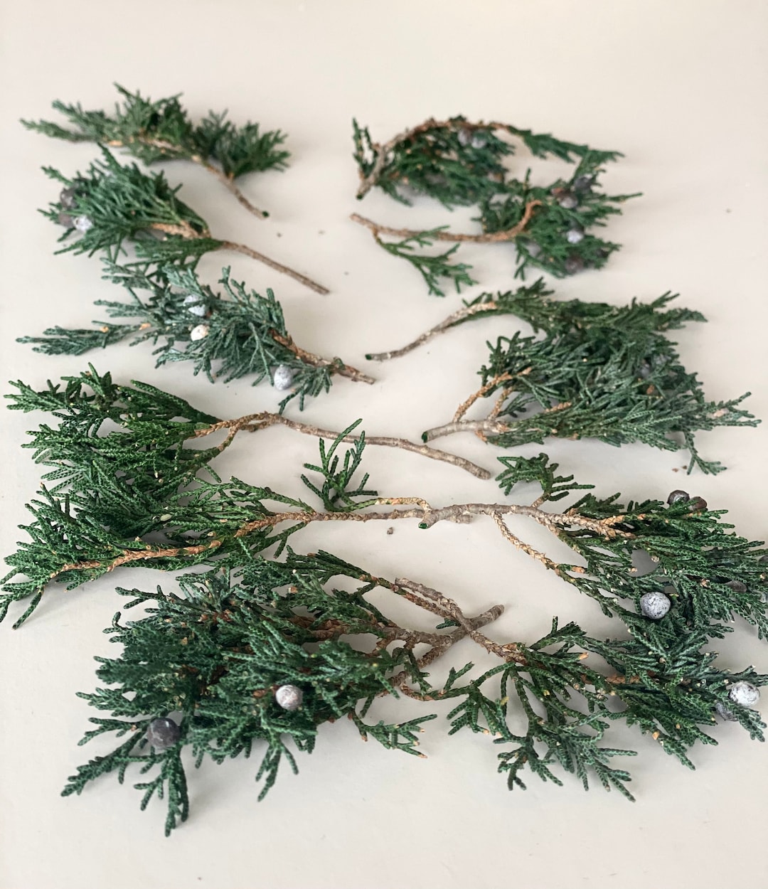 Preserved Juniper Tips With Berries – Dried Green Branches, Floral ...