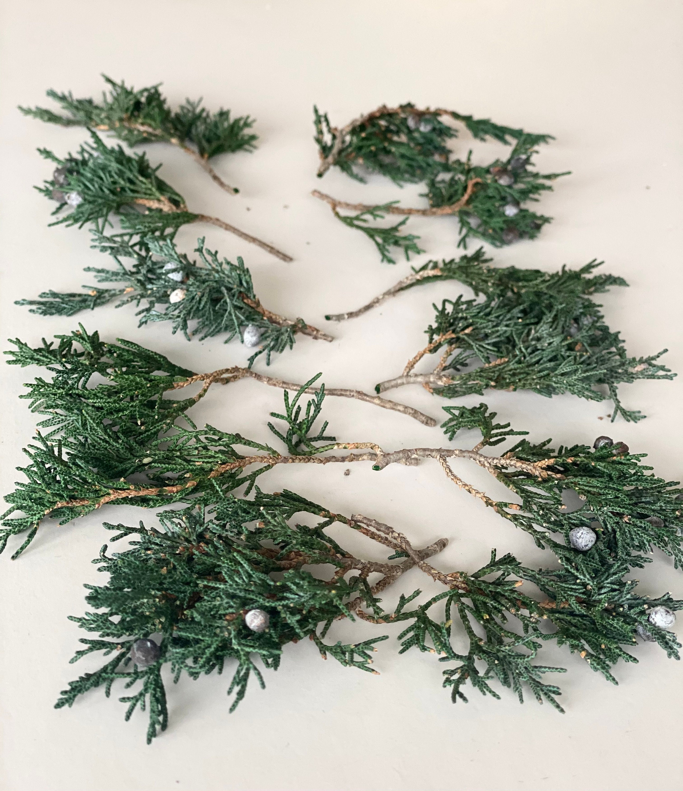 Preserved Juniper Tips-small Flowers for Craft-resin Flowers - Etsy