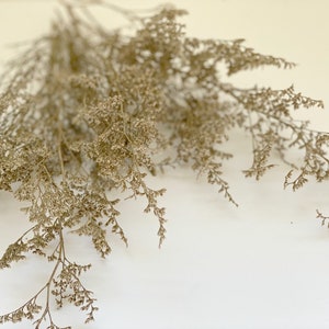 Natural Preserved Caspia, Dried Flowers Bunch, Dried Bunch Table ...