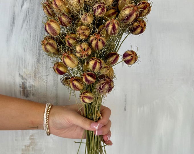 Air Dried Nigella Pods: Love-in-a-mist Seed Heads, Rustic Floral Decor ...