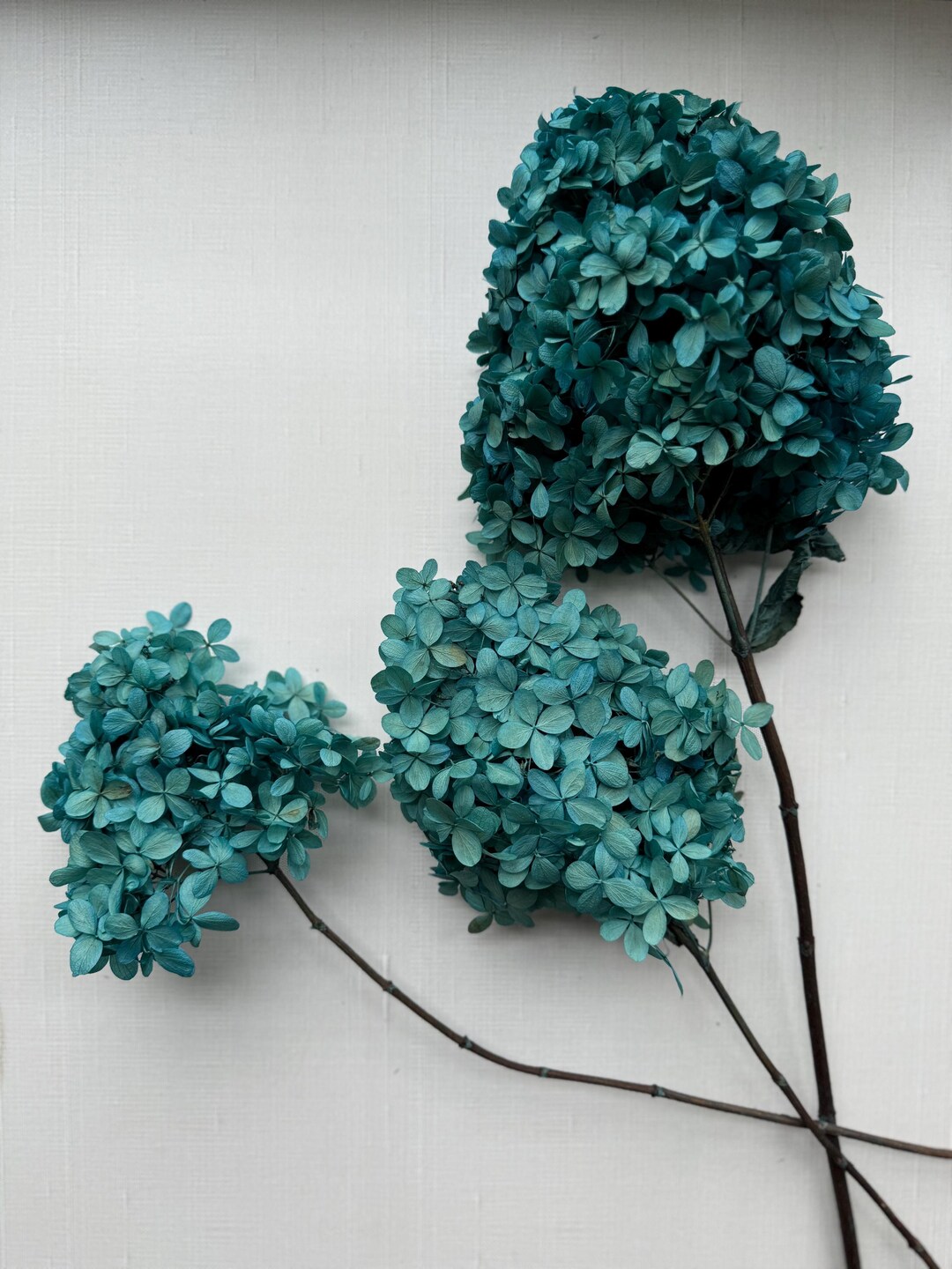 Teal Hydrangea – Preserved Blue Hydrangea Flowers-wedding Blue Flowers ...