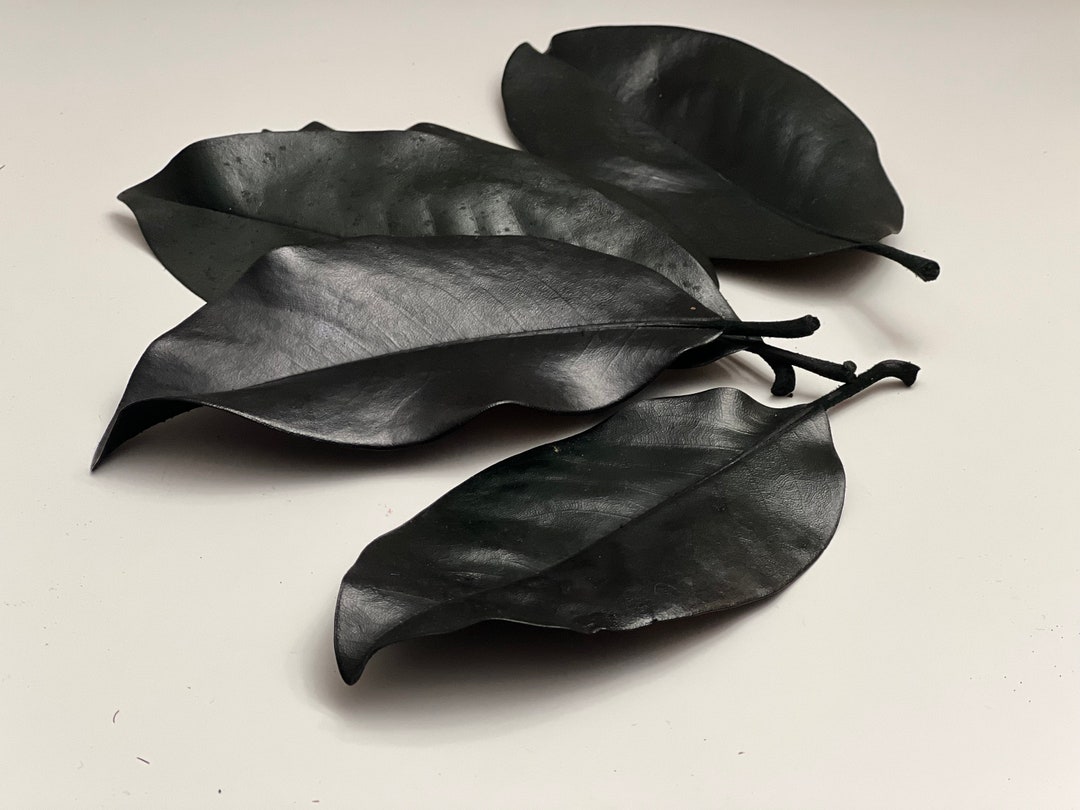 Preserved Magnolia Leaves-dried Flowers-preserved Leaves-magnolia ...