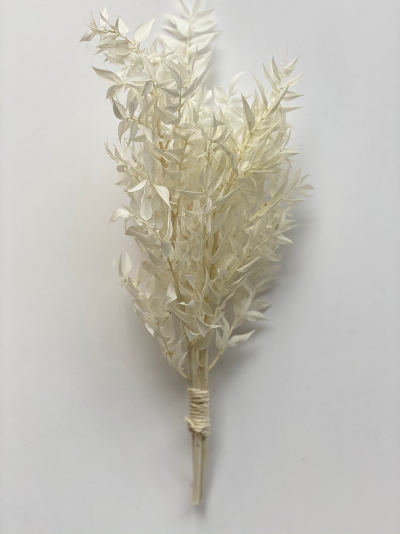 Bleached Ruscus Bouquet-smallwhite Flowers Bouquet | Etsy