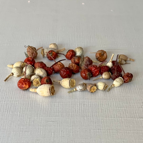 Dried Flowers Poppy Heads - Etsy