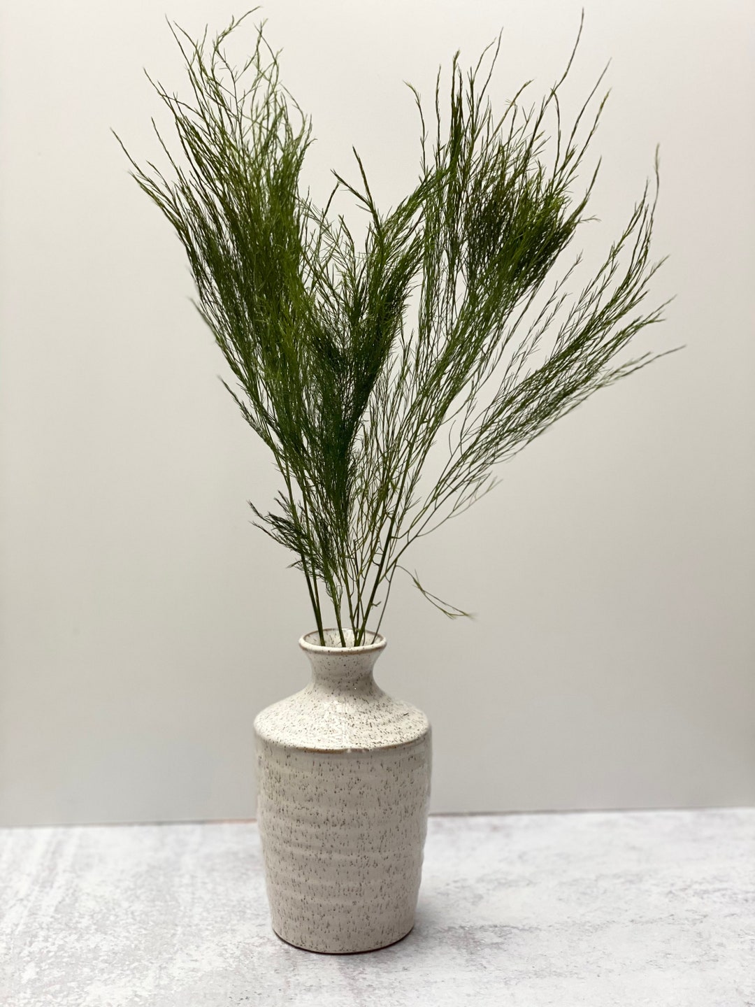 Preserved Tree Fern-preserved Greenery Bunch-preserved Flowers Home ...