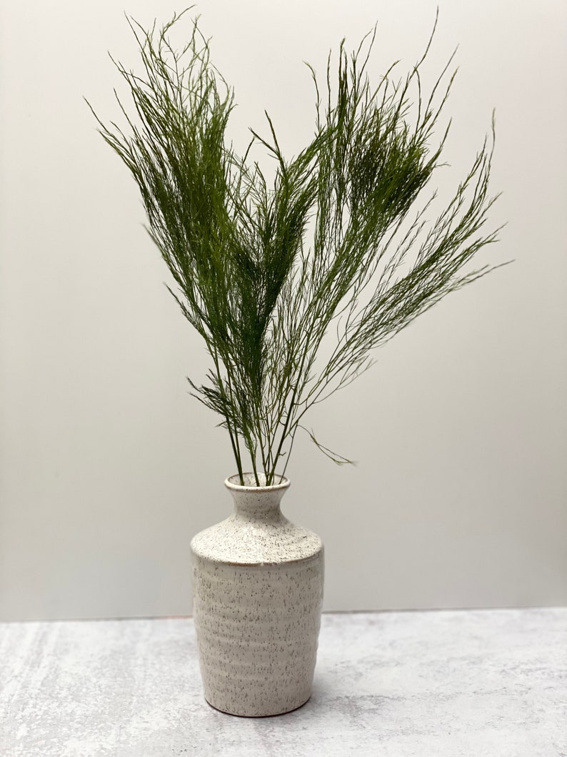 Preserved Tree Fern Bunch: Minimalist Home Decor Bouquet - Etsy