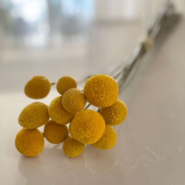 Billy Flowers - Etsy