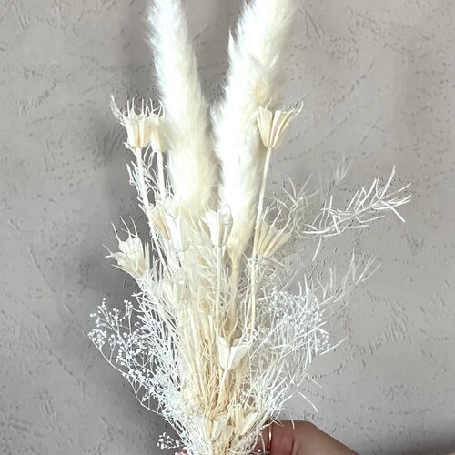 Yellow Preserved Caspia Preserved Caspia Dried Flowers | Etsy