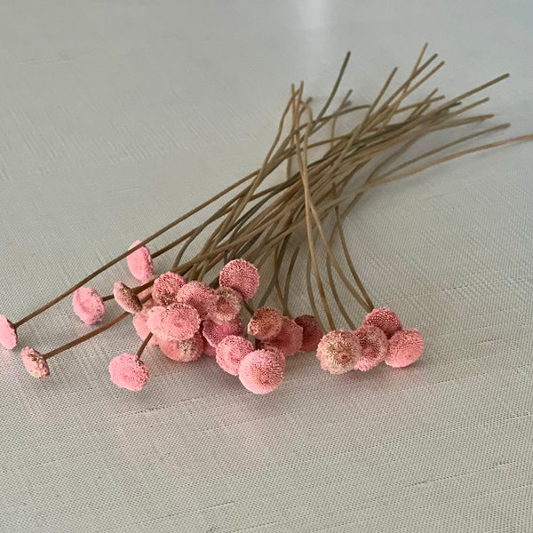 Button Flowers - Etsy