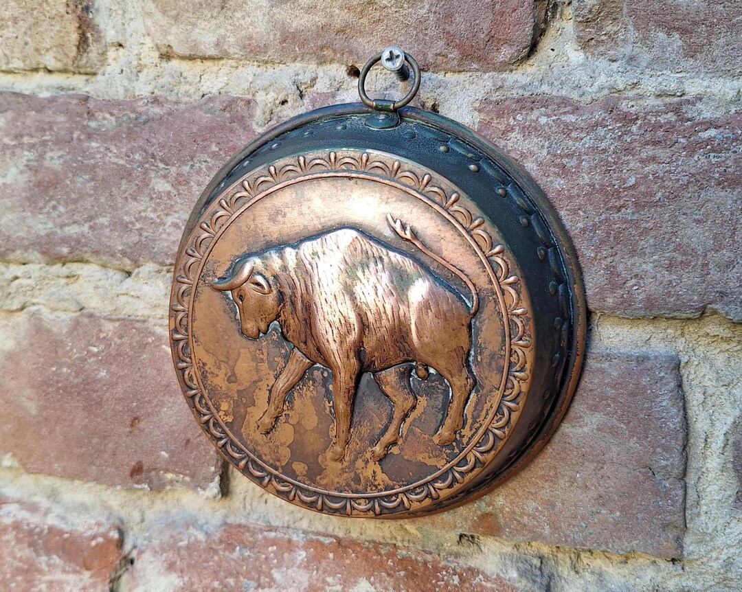 Vintage Copper Ox Jelly Mold: Zodiac Wall Hanging, Kitchen Decor - Etsy