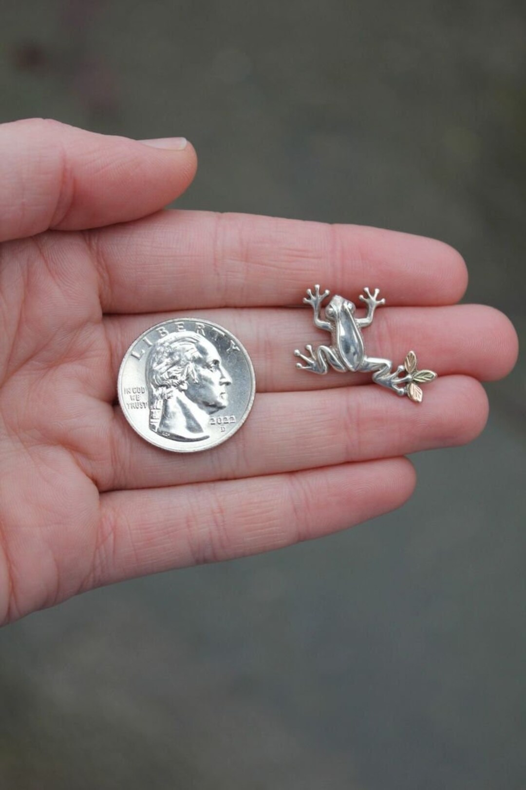 Pre-owned Sterling Silver & 12k Gold Black Hills Gold Frog Pendant - Etsy