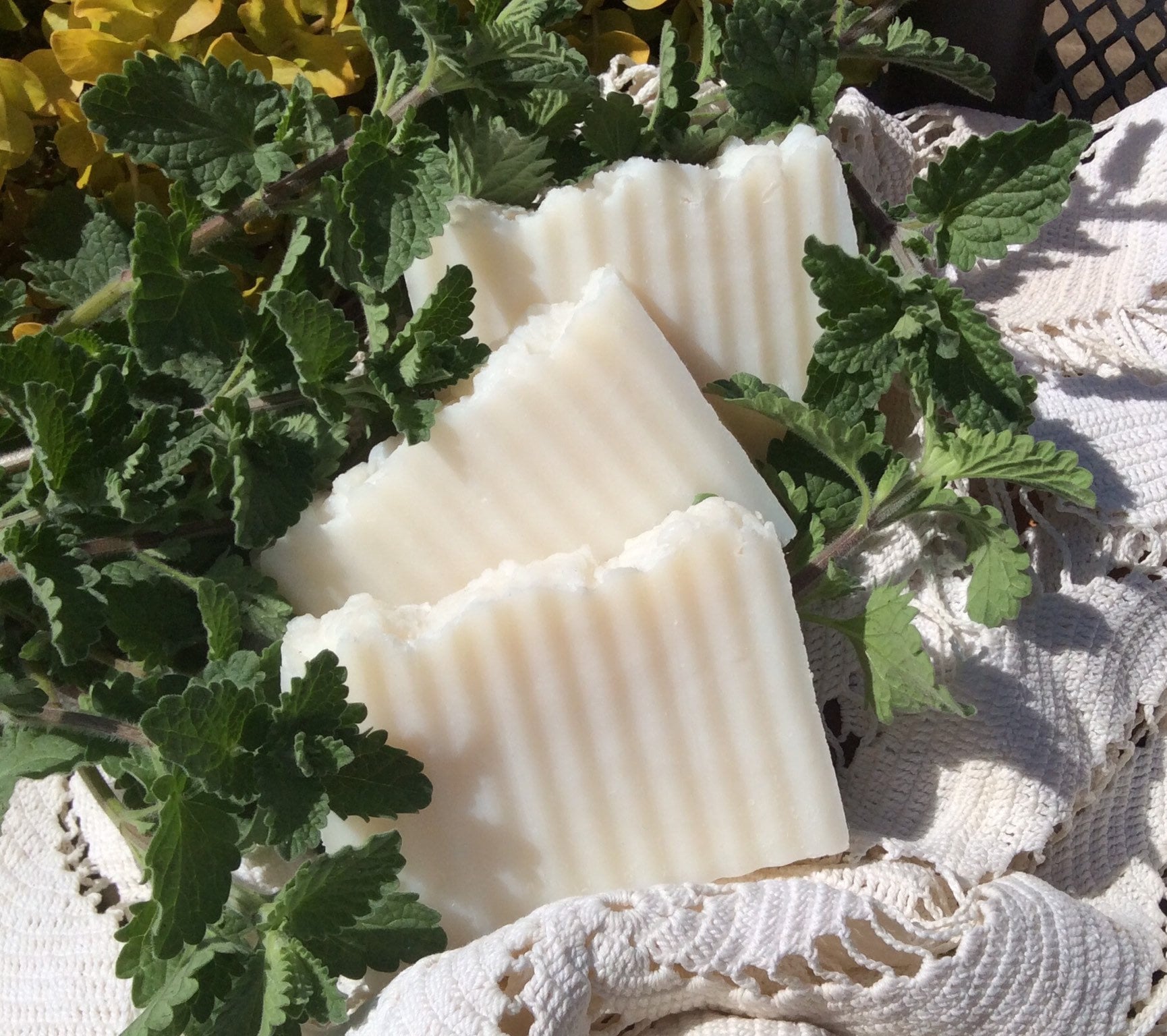 Jabón de coco 100% puro | Etsy