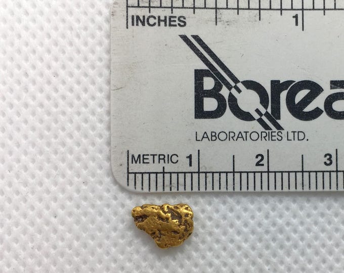 Genuine 20K 22K 24K Solid Gold Nugget .66g Alaska? California? Great ...